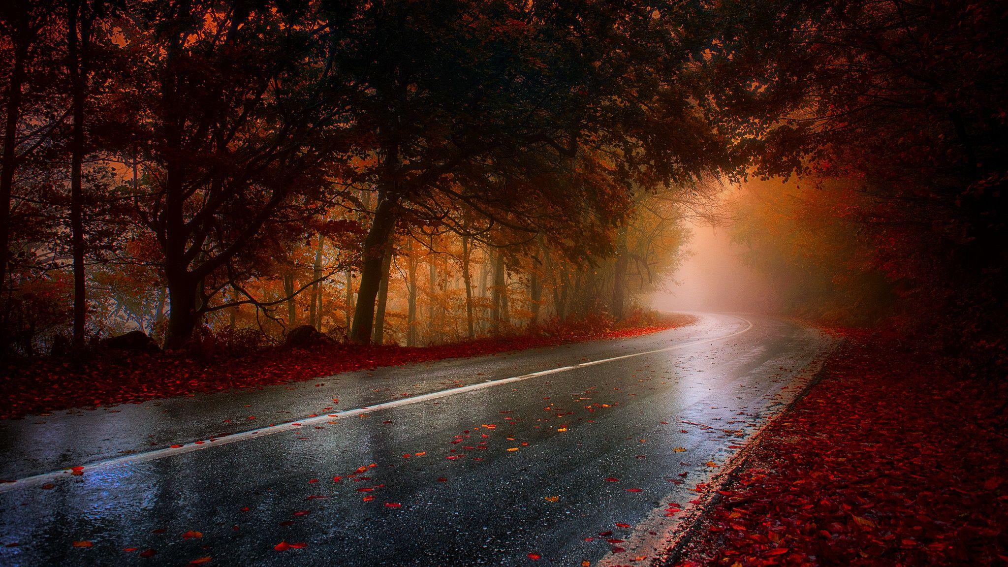 Road Rain Wallpapers - Top Free Road Rain Backgrounds - WallpaperAccess