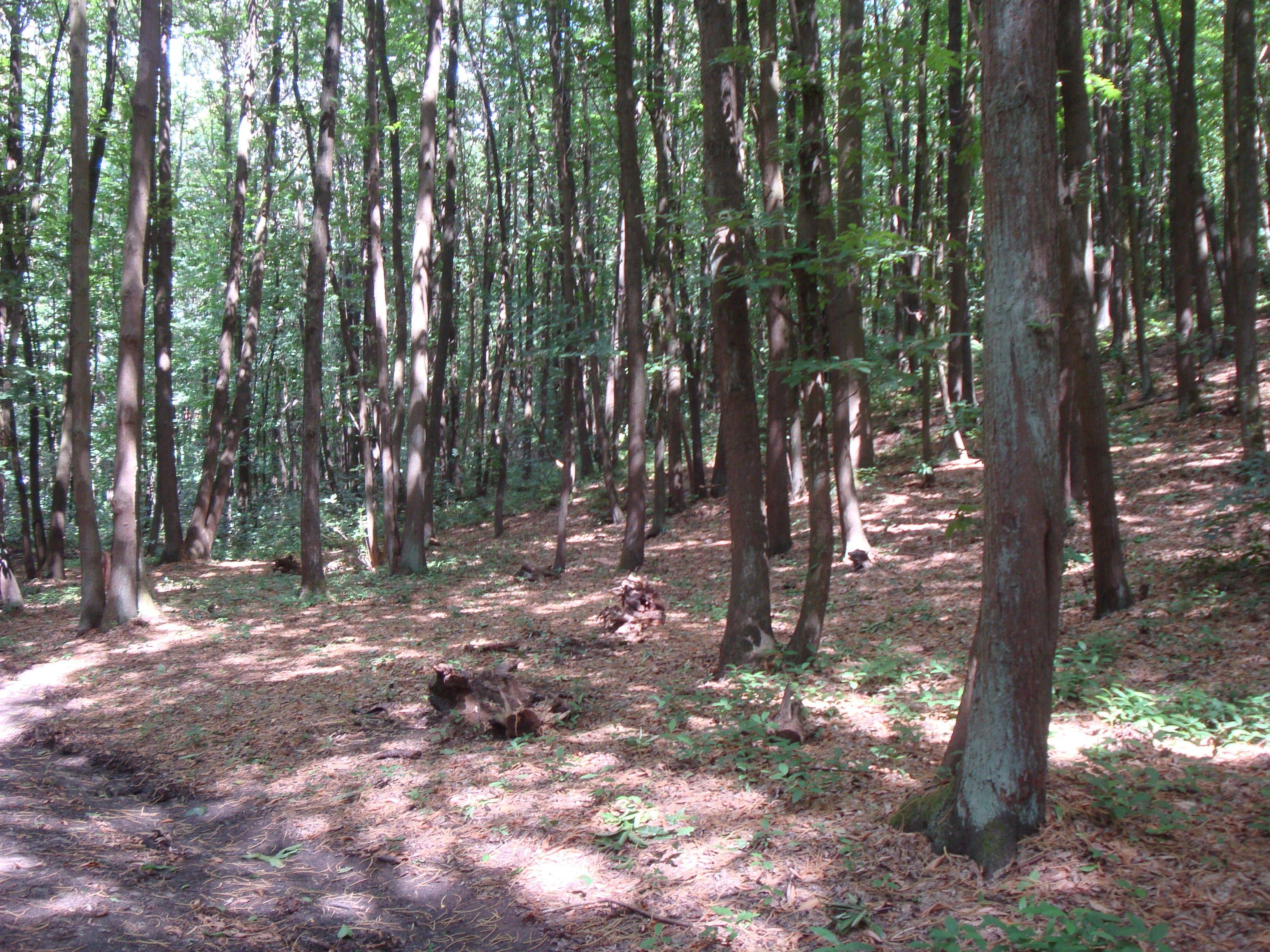 Belgian Landscape Wallpapers - Top Free Belgian Landscape Backgrounds ...