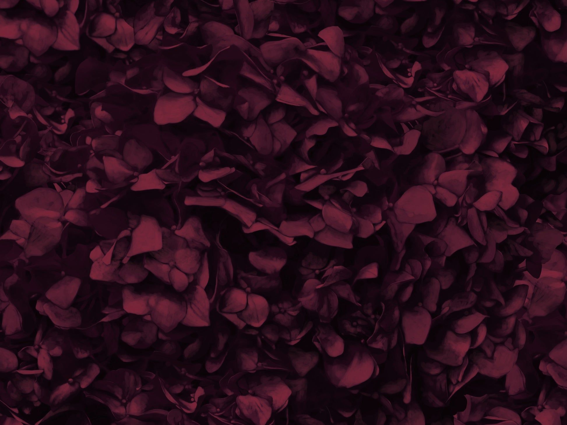 Wine Colour Wallpapers - Top Free Wine Colour Backgrounds - WallpaperAccess