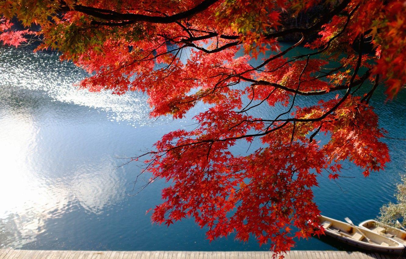 Japan Lake HD Wallpapers - Top Free Japan Lake HD Backgrounds ...