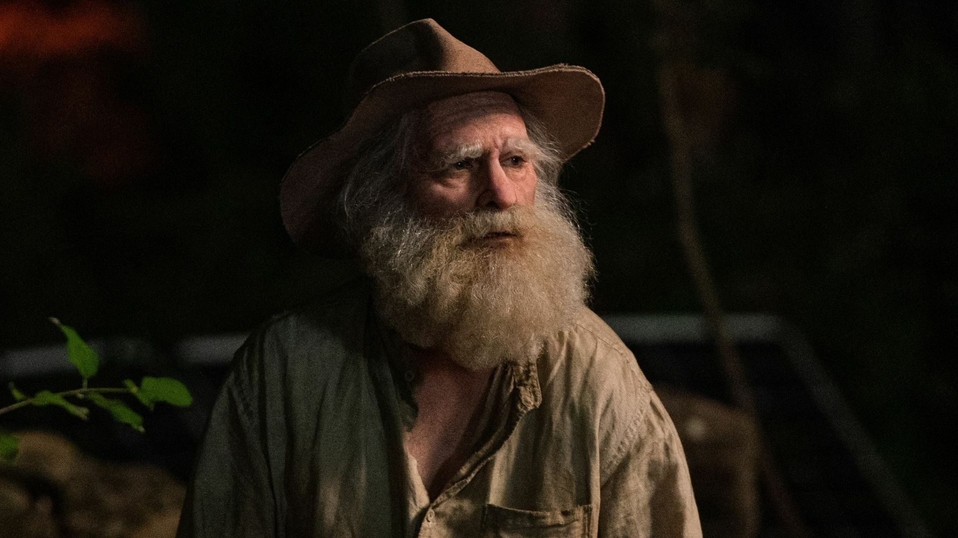 Beau Is Afraid Wallpapers - Top Free Beau Is Afraid Backgrounds ...