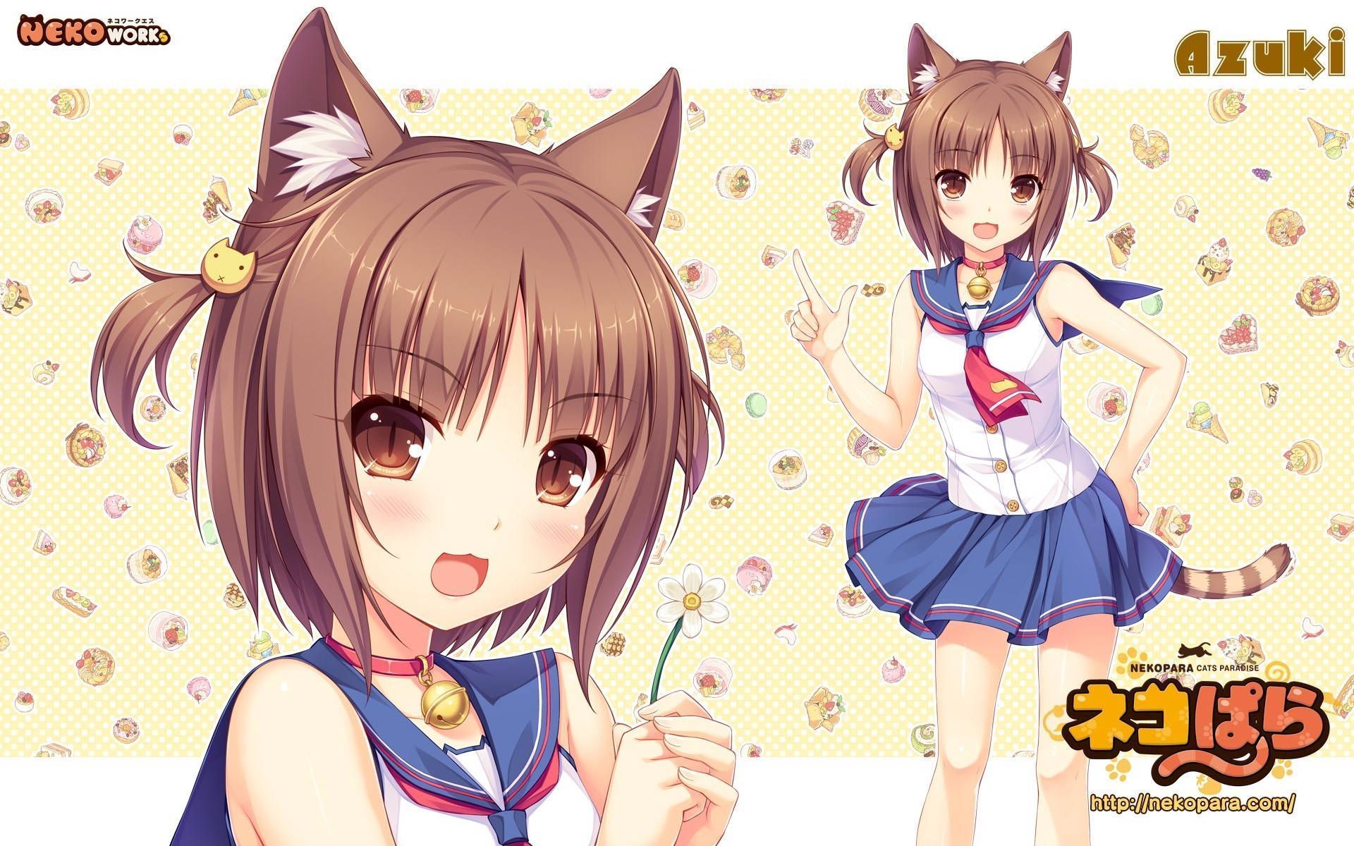 Azuki Wallpapers - Top Free Azuki Backgrounds - WallpaperAccess