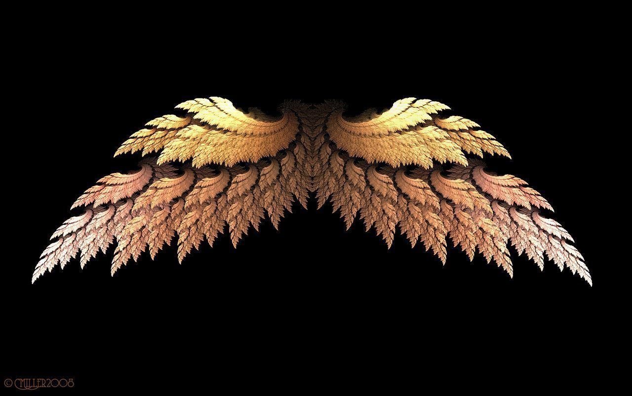 Golden Wings Wallpapers - Top Free Golden Wings Backgrounds ...