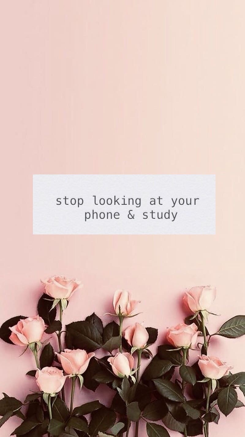Pink Study Wallpapers - Top Free Pink Study Backgrounds - WallpaperAccess