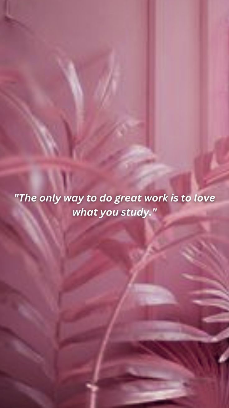 Pink Study Wallpapers - Top Free Pink Study Backgrounds - WallpaperAccess