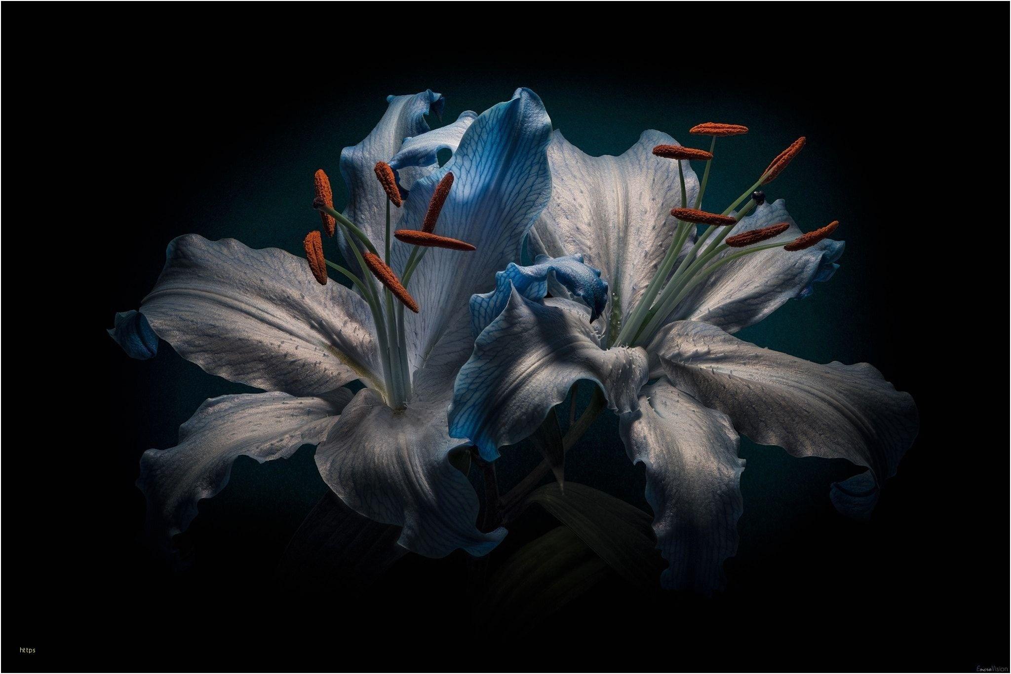 Best Unique Wallpapers - Top Free Best Unique Backgrounds - WallpaperAccess