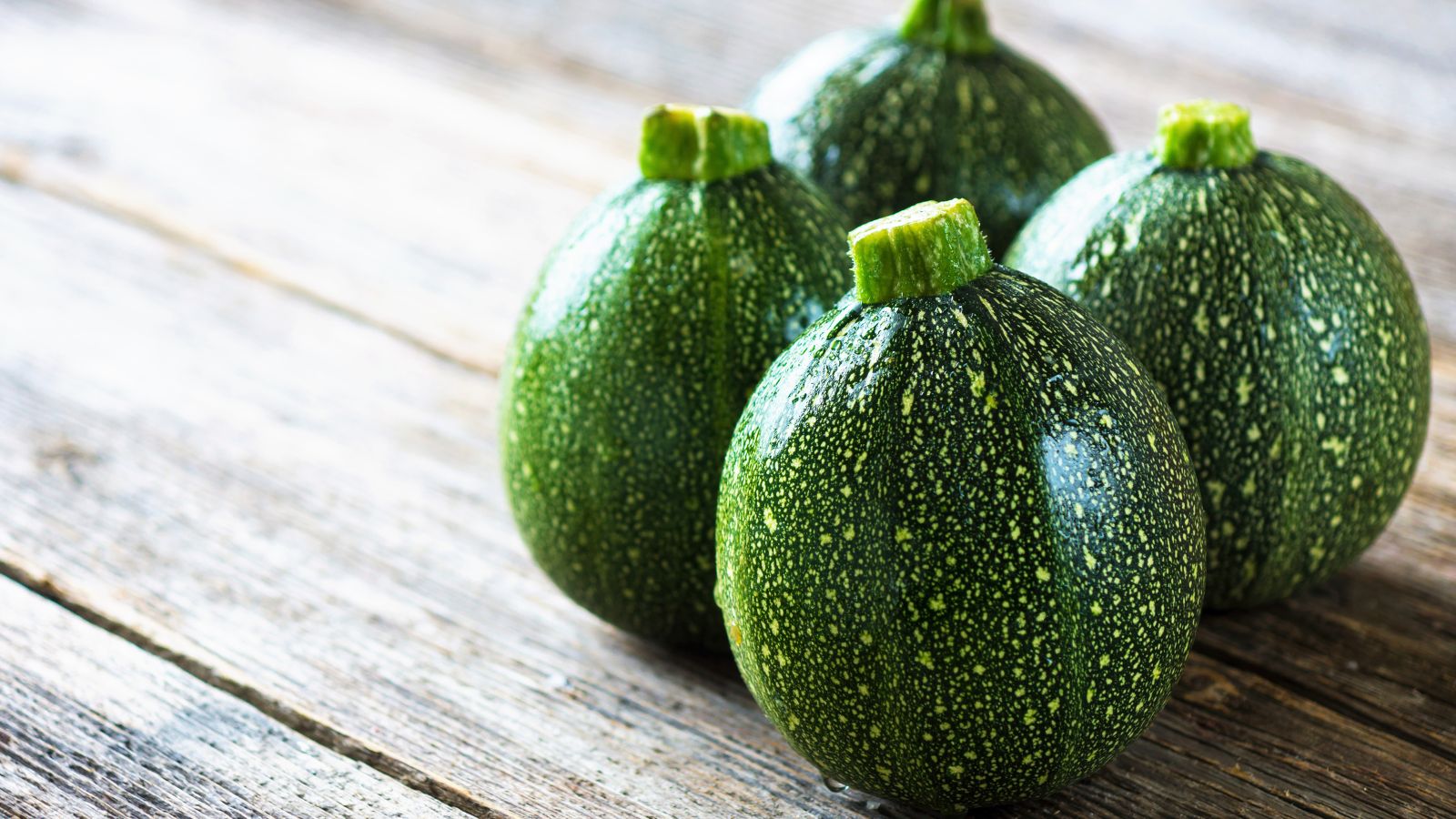 Zucchini Wallpapers - Top Free Zucchini Backgrounds - WallpaperAccess