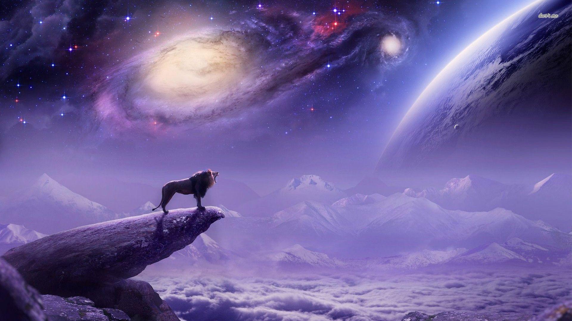 Purple Lion Wallpapers - Top Free Purple Lion Backgrounds - WallpaperAccess