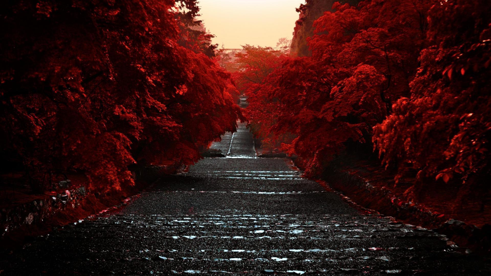 Japan Road Wallpapers - Top Free Japan Road Backgrounds - WallpaperAccess
