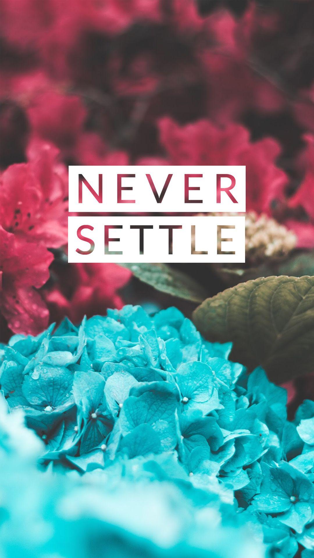 Car Never Settle Wallpapers - Top Free Car Never Settle Backgrounds ...