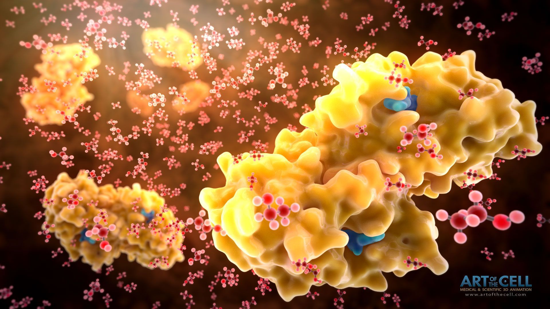 Enzyme Wallpapers - Top Free Enzyme Backgrounds - WallpaperAccess
