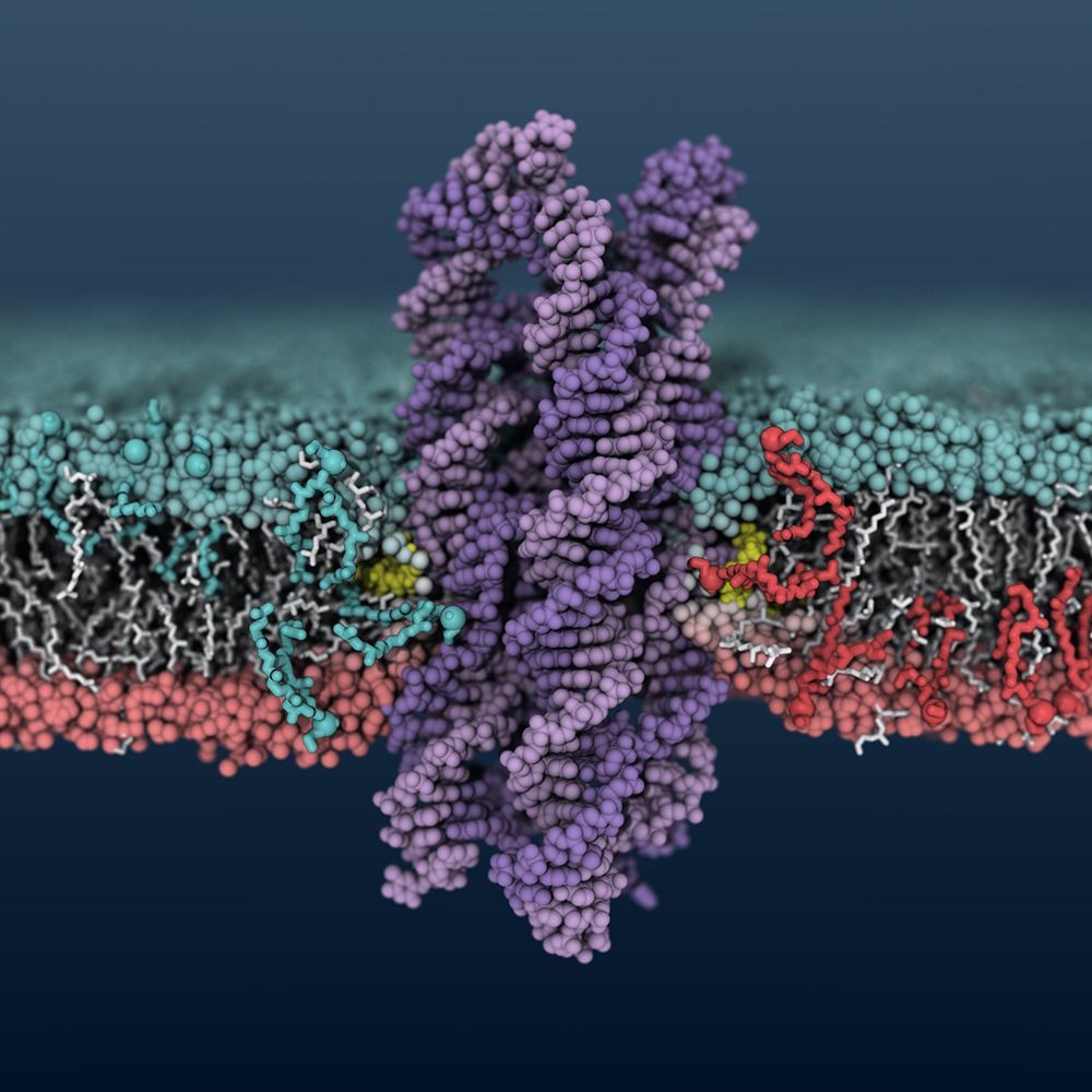 Enzyme Wallpapers - Top Free Enzyme Backgrounds - WallpaperAccess