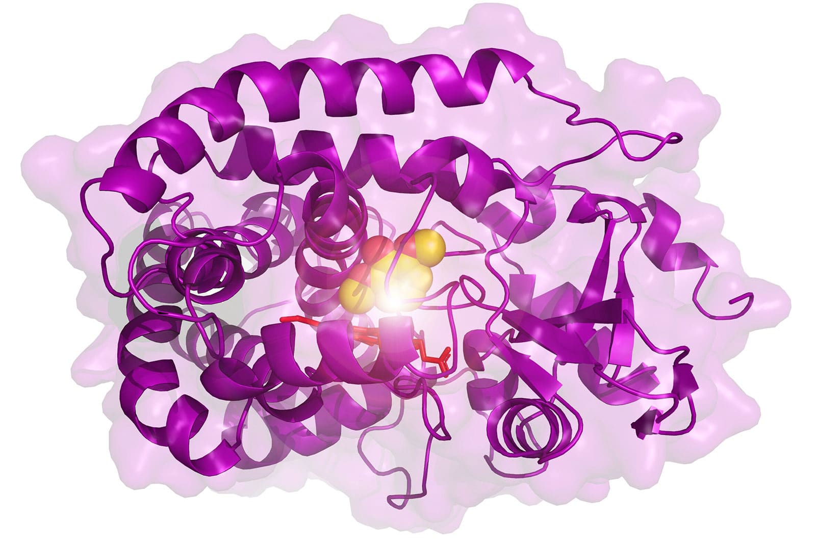 Enzyme Wallpapers - Top Free Enzyme Backgrounds - WallpaperAccess