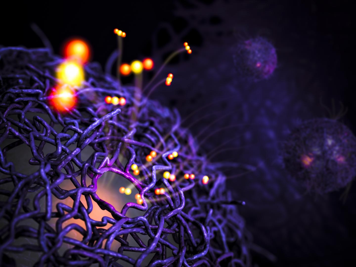 Enzyme Wallpapers - Top Free Enzyme Backgrounds - WallpaperAccess