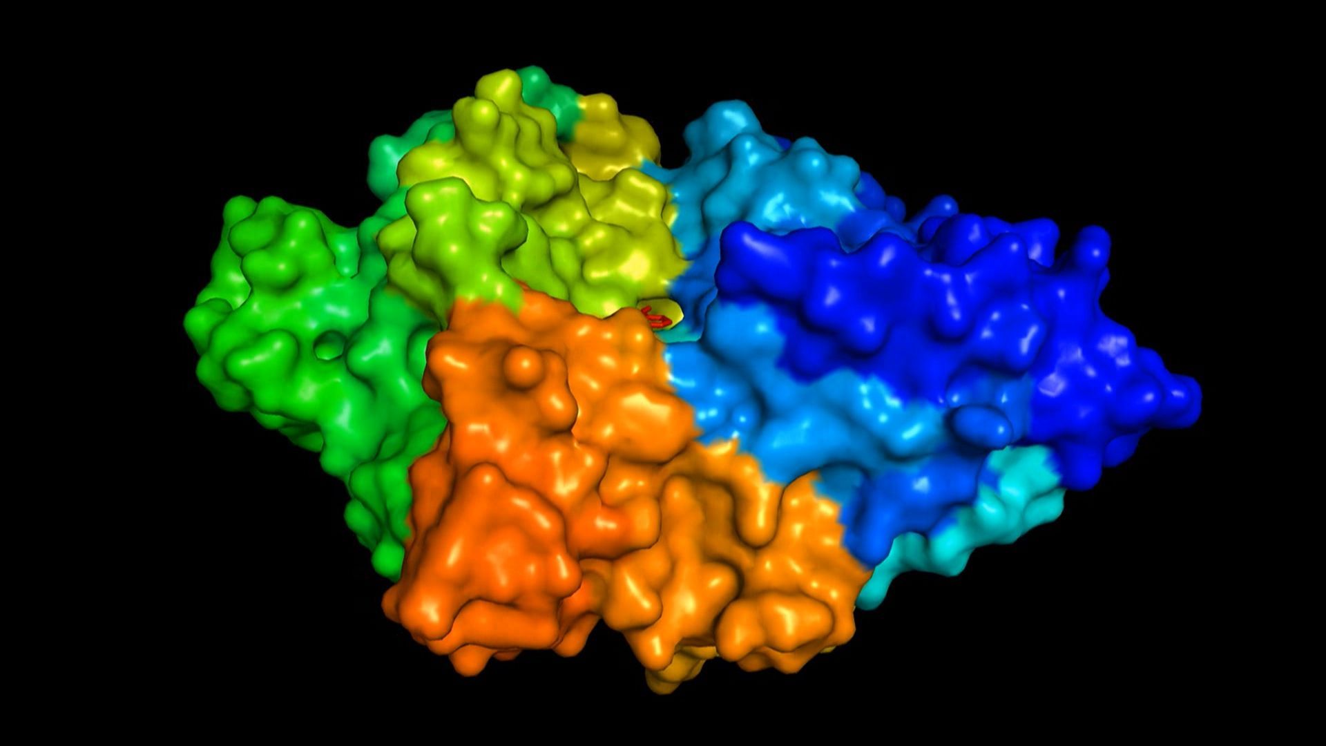 Enzyme Wallpapers - Top Free Enzyme Backgrounds - WallpaperAccess