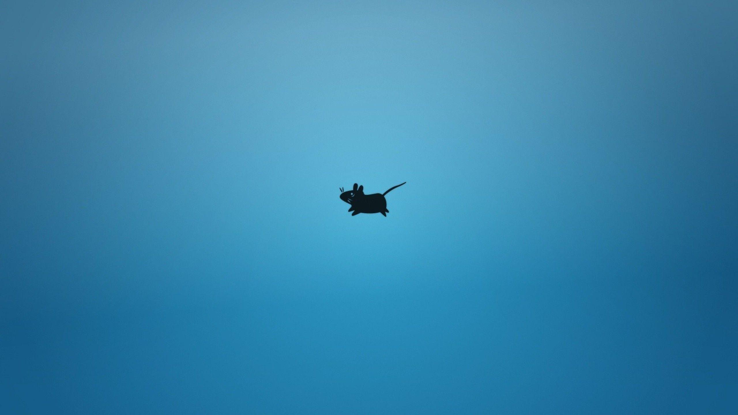 Xfce Wallpapers - Top Free Xfce Backgrounds - WallpaperAccess