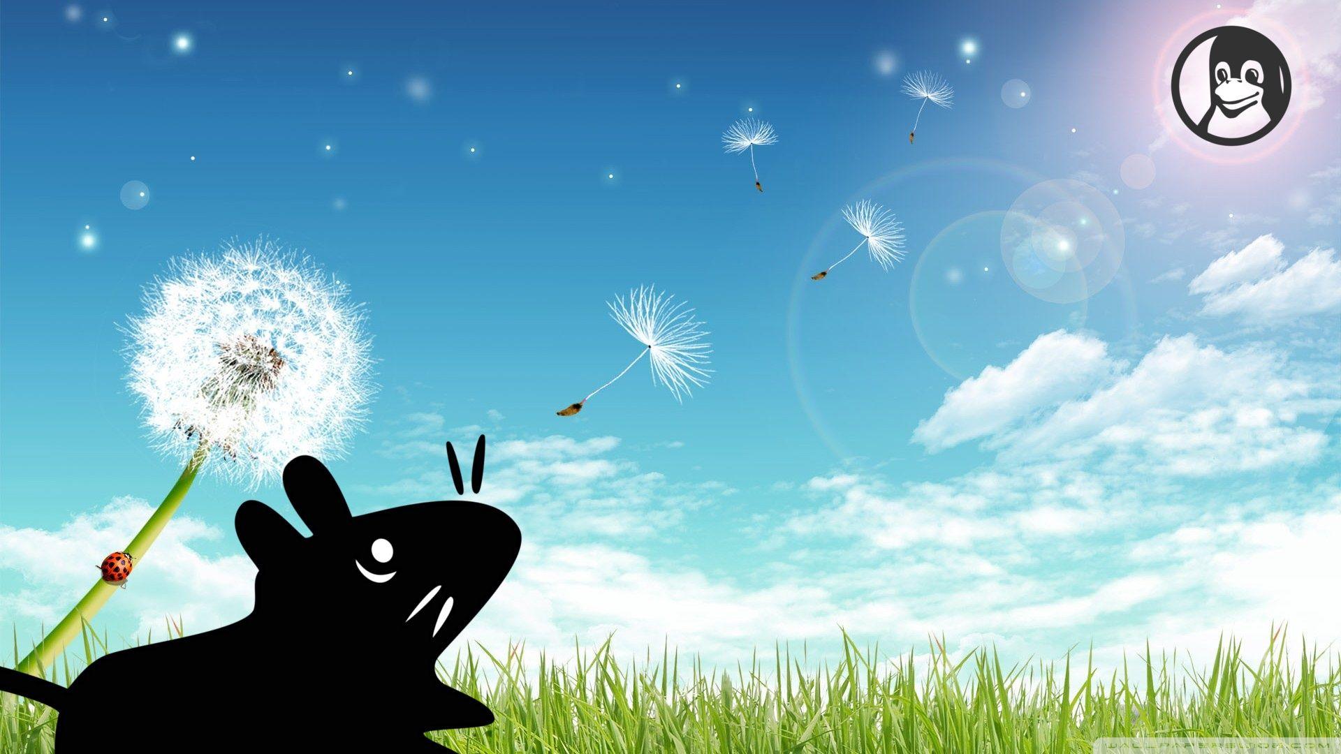 Xfce Wallpapers - Top Free Xfce Backgrounds - WallpaperAccess