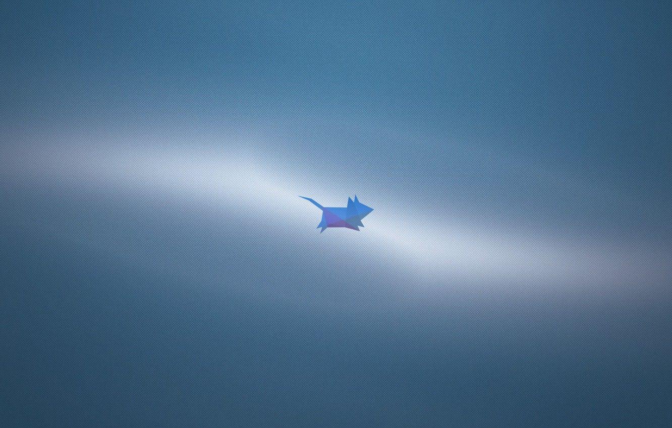 Xfce Wallpapers - Top Free Xfce Backgrounds - WallpaperAccess