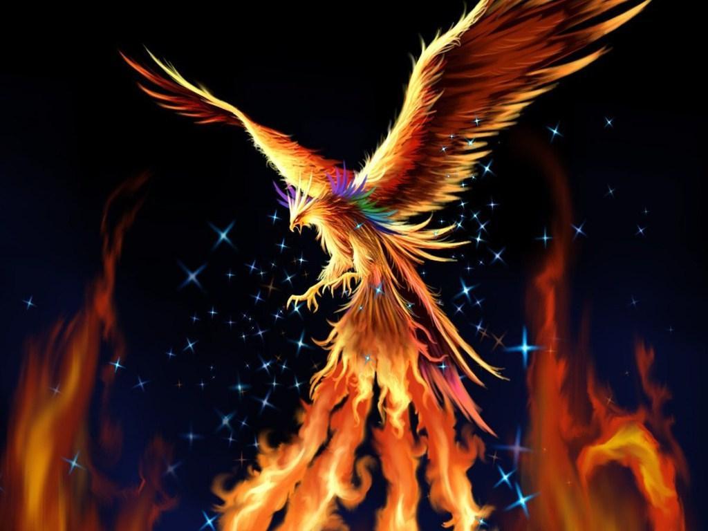 Anime Phoenix Wallpapers - Top Free Anime Phoenix Backgrounds ...