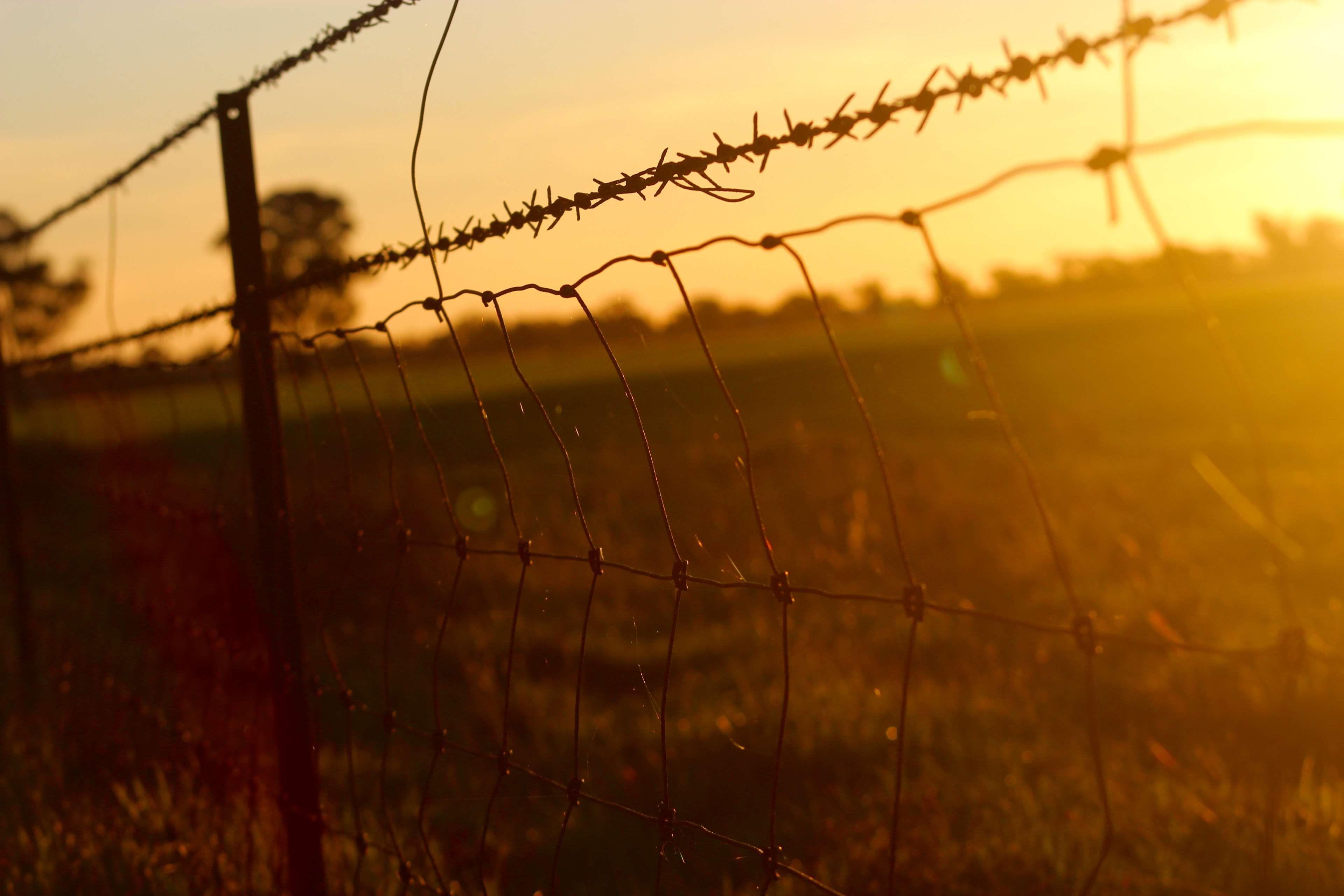 Barbed Wire Fences Wallpapers - Top Free Barbed Wire Fences Backgrounds ...