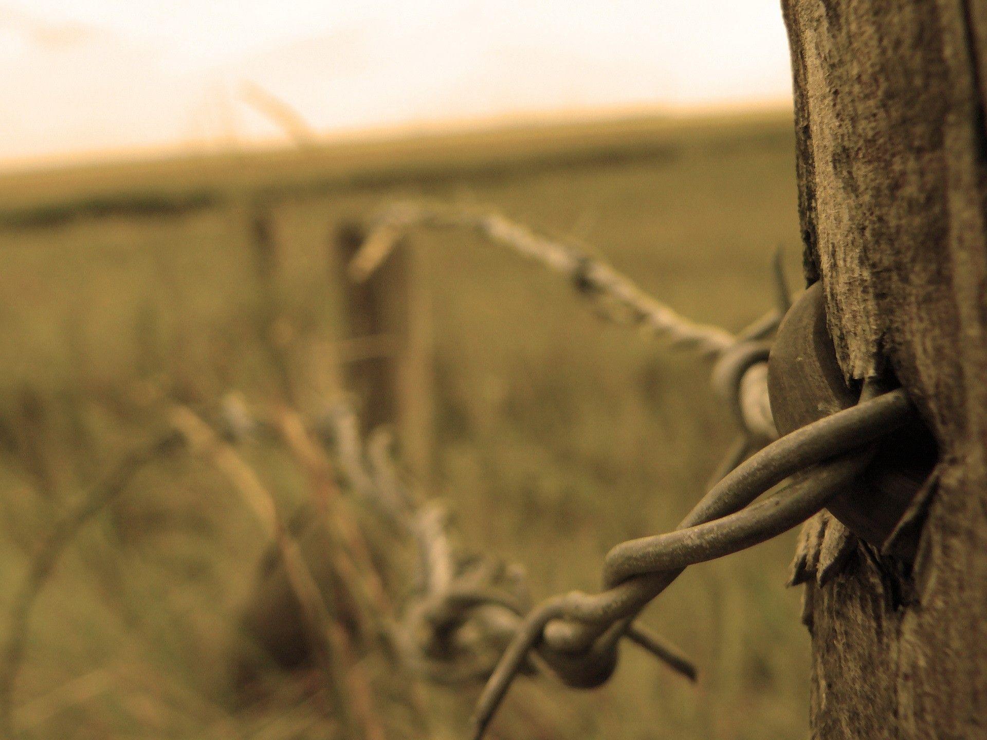 Barbed Wire Fences Wallpapers - Top Free Barbed Wire Fences Backgrounds ...