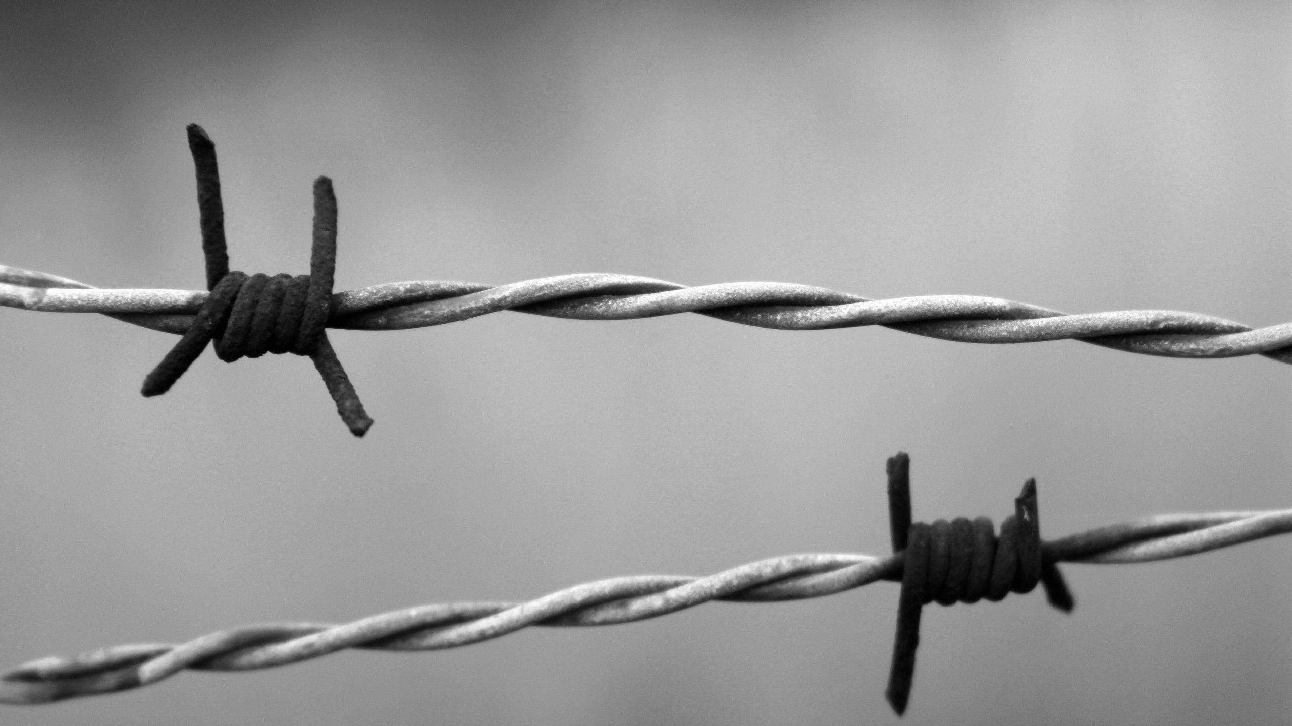Barbed Wire Fences Wallpapers - Top Free Barbed Wire Fences Backgrounds ...