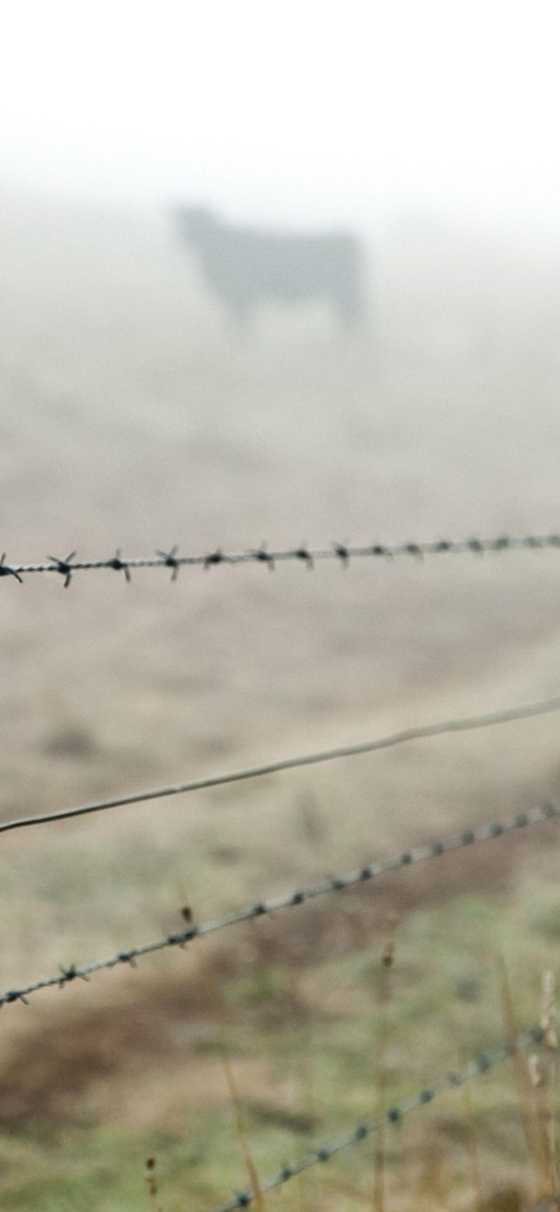 Barbed Wire Fences Wallpapers - Top Free Barbed Wire Fences Backgrounds ...