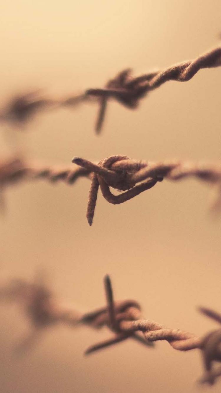 Barbed Wire Fences Wallpapers - Top Free Barbed Wire Fences Backgrounds ...