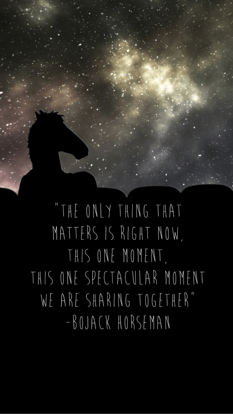 Bojack iPhone Wallpapers - Top Free Bojack iPhone Backgrounds ...