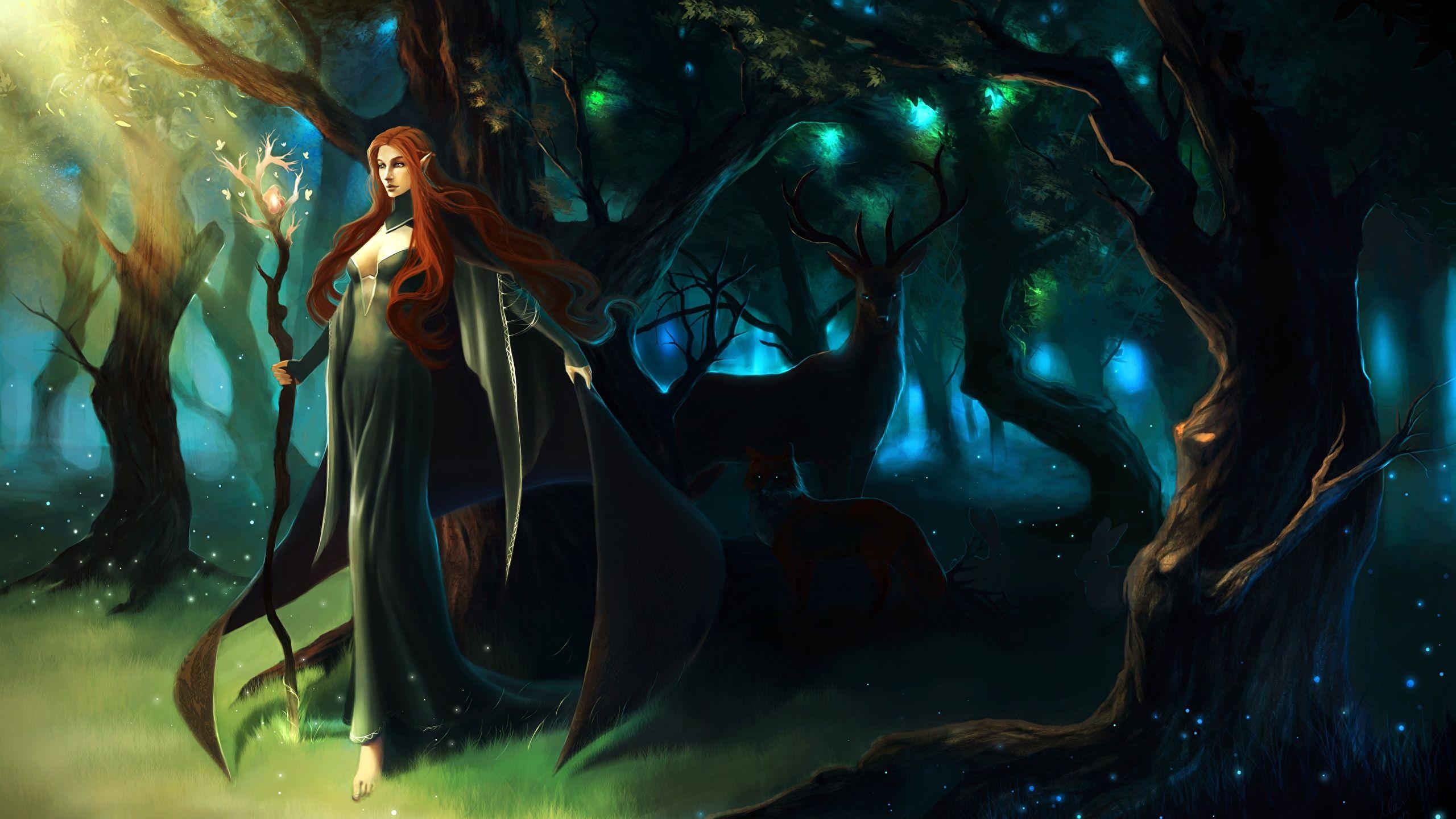 Elf Fantasy Wallpapers - Top Free Elf Fantasy Backgrounds - WallpaperAccess