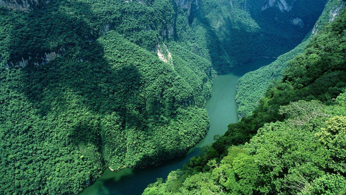 Amazon River Wallpapers - Top Free Amazon River Backgrounds ...