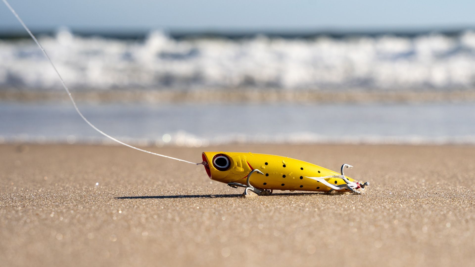 Lure Wallpapers - Top Free Lure Backgrounds - WallpaperAccess