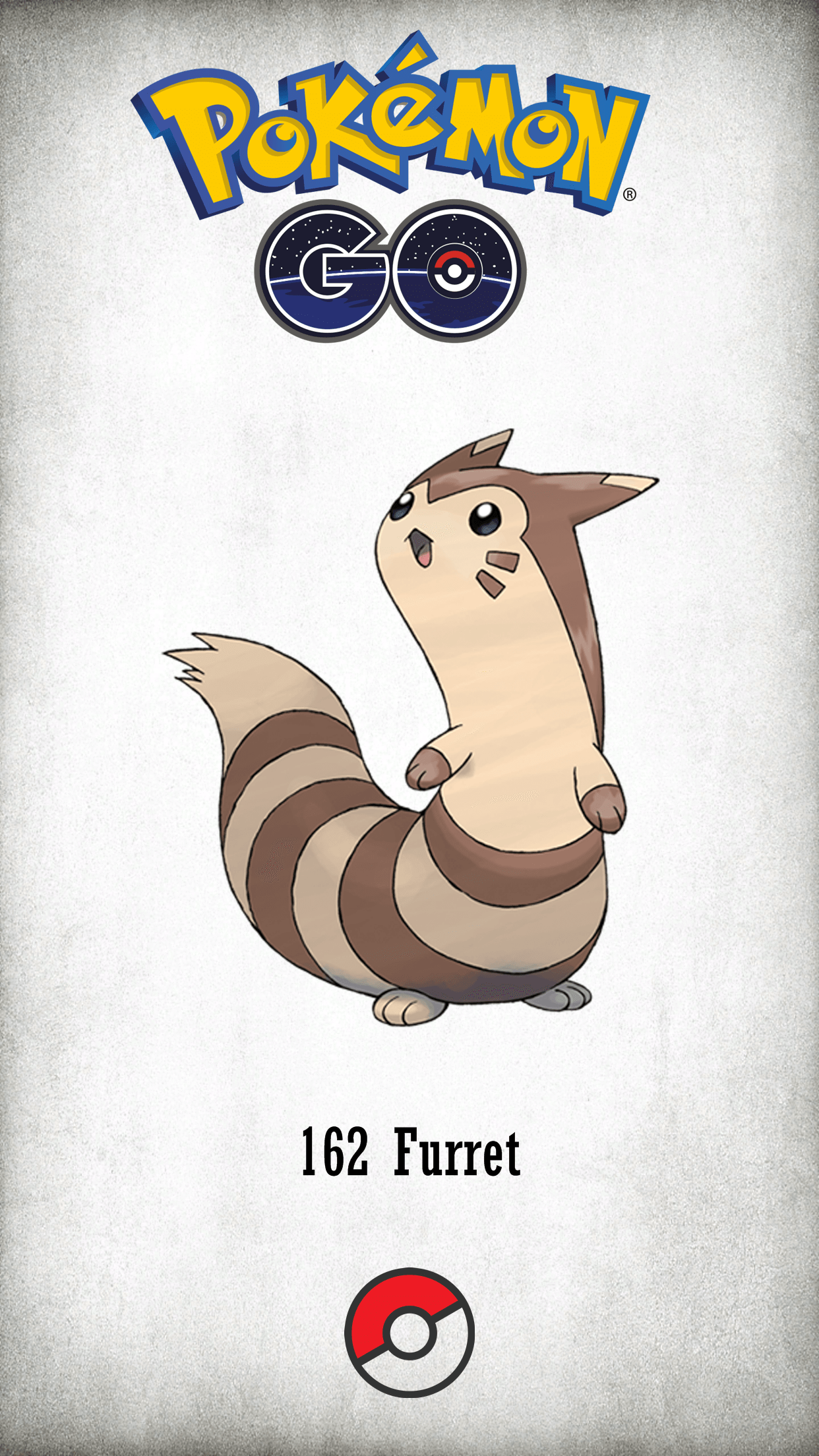 Furret Wallpapers - Top Free Furret Backgrounds - WallpaperAccess