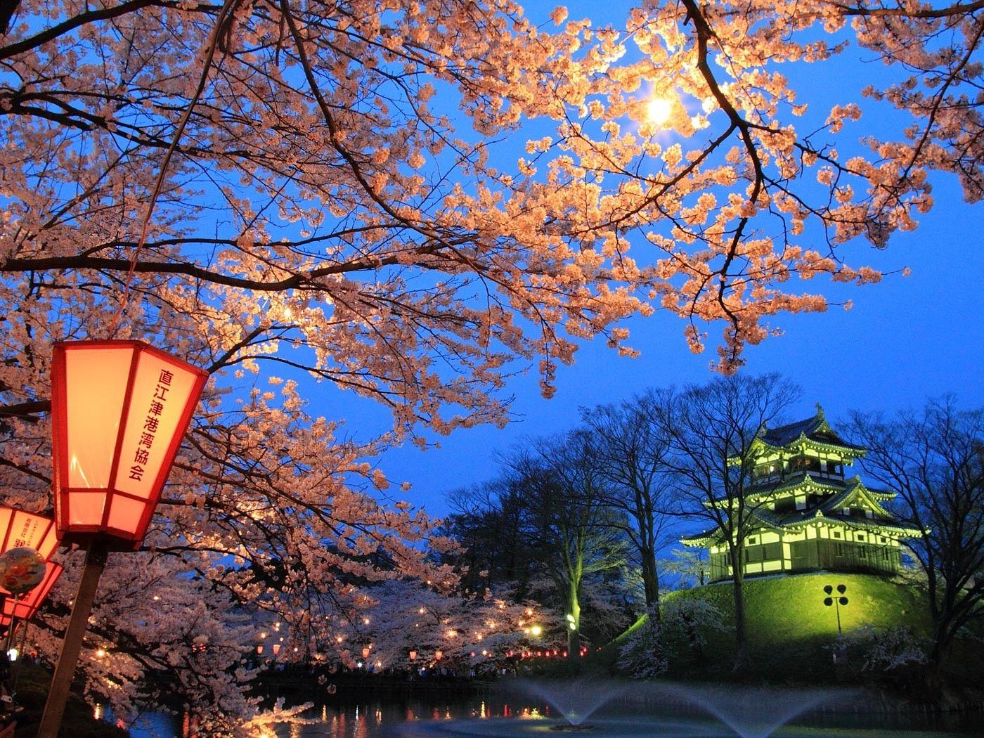 Japan Lake Wallpapers - Top Free Japan Lake Backgrounds - WallpaperAccess