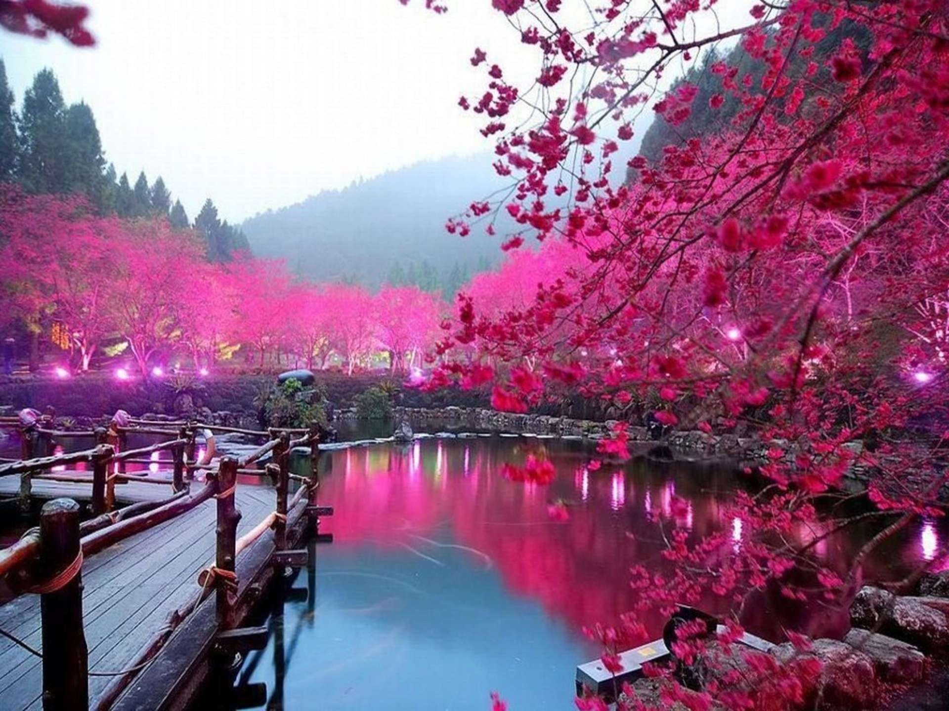 Japan Lake Wallpapers - Top Free Japan Lake Backgrounds - WallpaperAccess