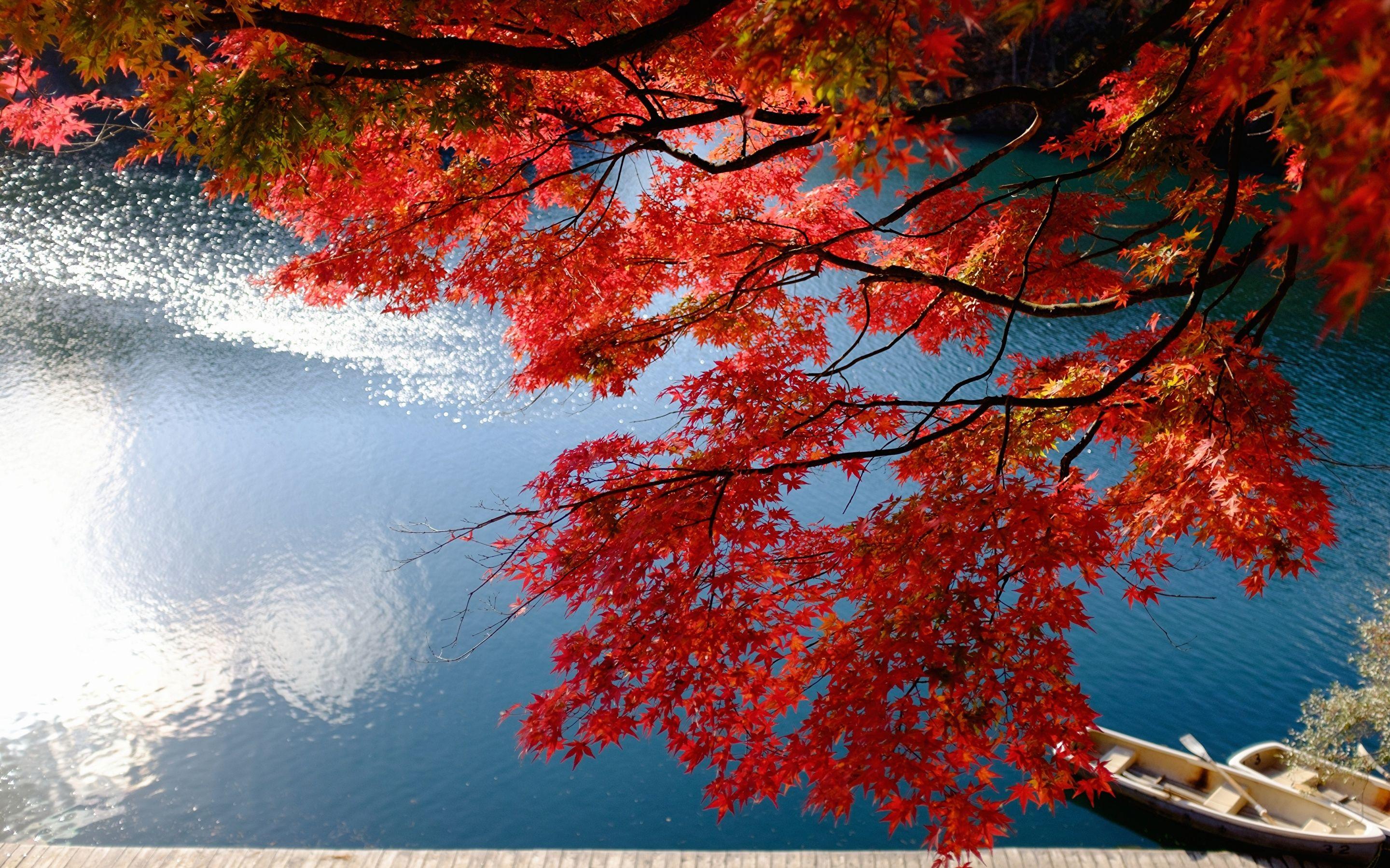 Japan Lake Wallpapers - Top Free Japan Lake Backgrounds - WallpaperAccess