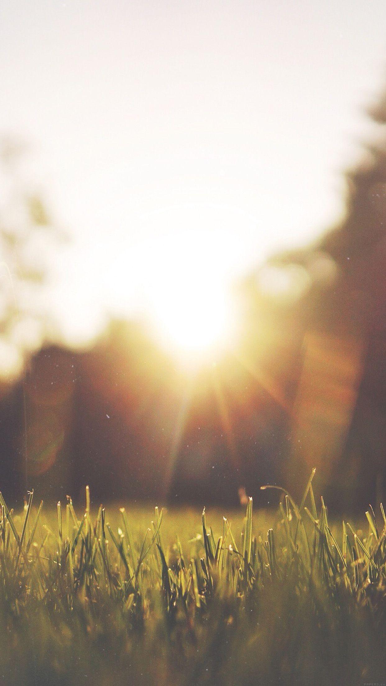 Sunshine HD Wallpapers - Top Free Sunshine HD Backgrounds - WallpaperAccess