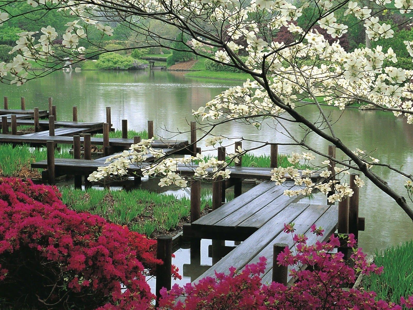Japan Lake Wallpapers - Top Free Japan Lake Backgrounds - WallpaperAccess