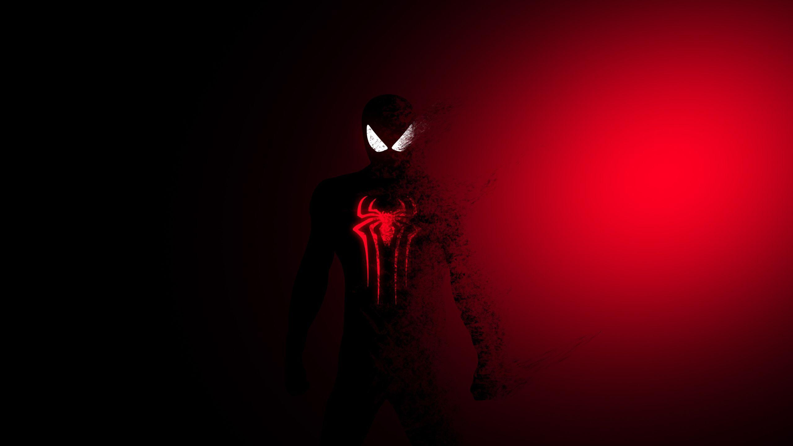 Spiderman Minimal Wallpapers - Top Free Spiderman Minimal Backgrounds ...