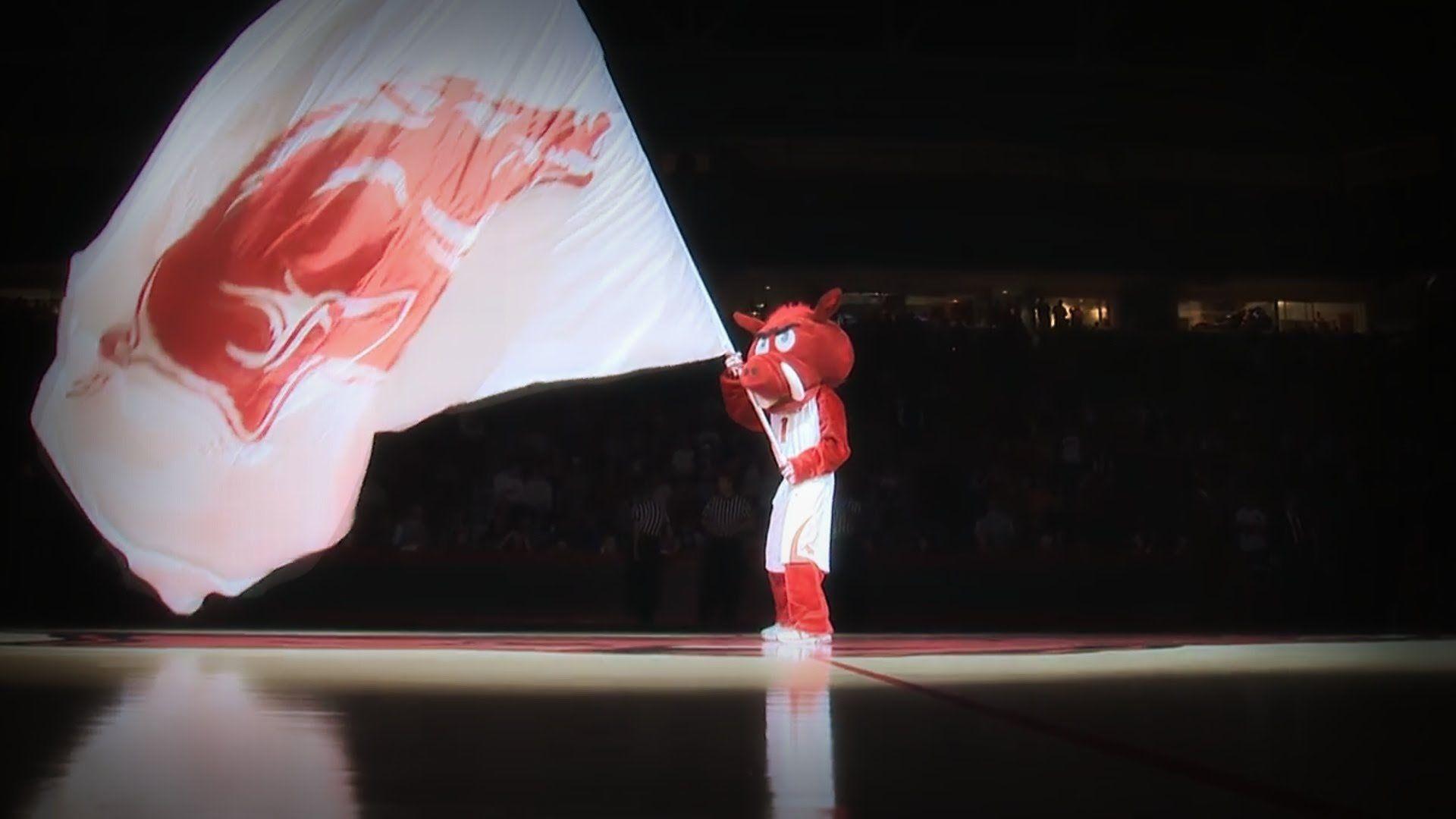 Arkansas Razorbacks Wallpapers - Top Free Arkansas Razorbacks ...