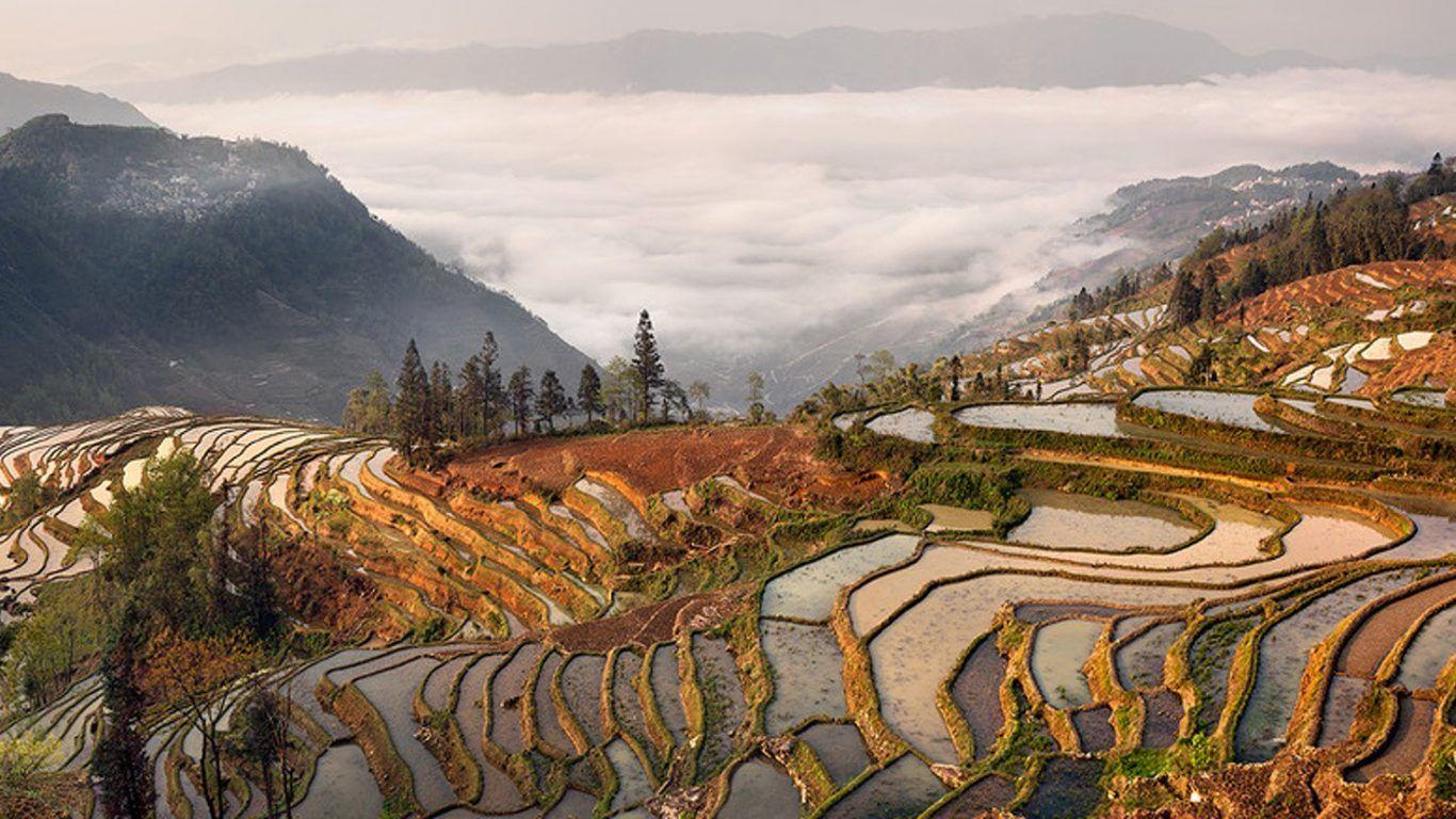 Japanese Farm Wallpapers - Top Free Japanese Farm Backgrounds ...