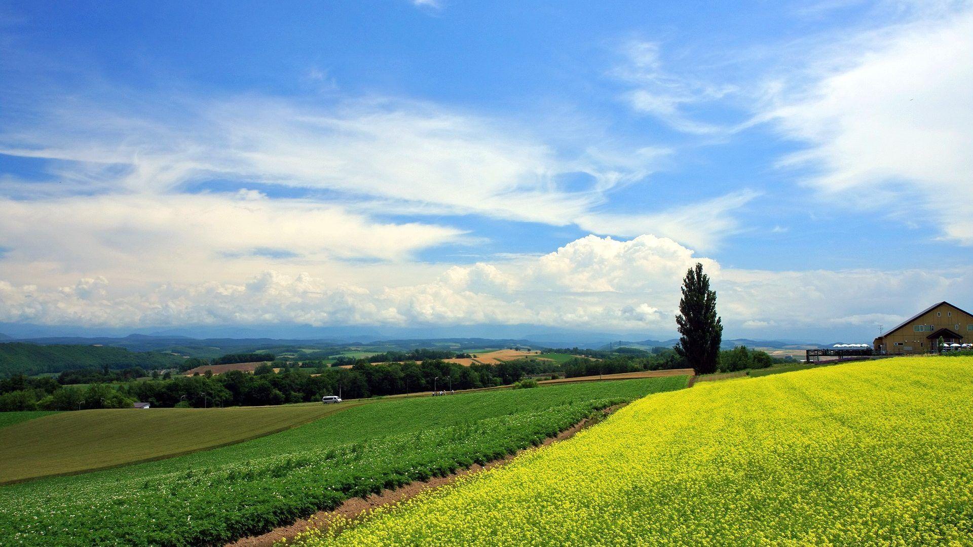 Japanese Farm Wallpapers - Top Free Japanese Farm Backgrounds ...