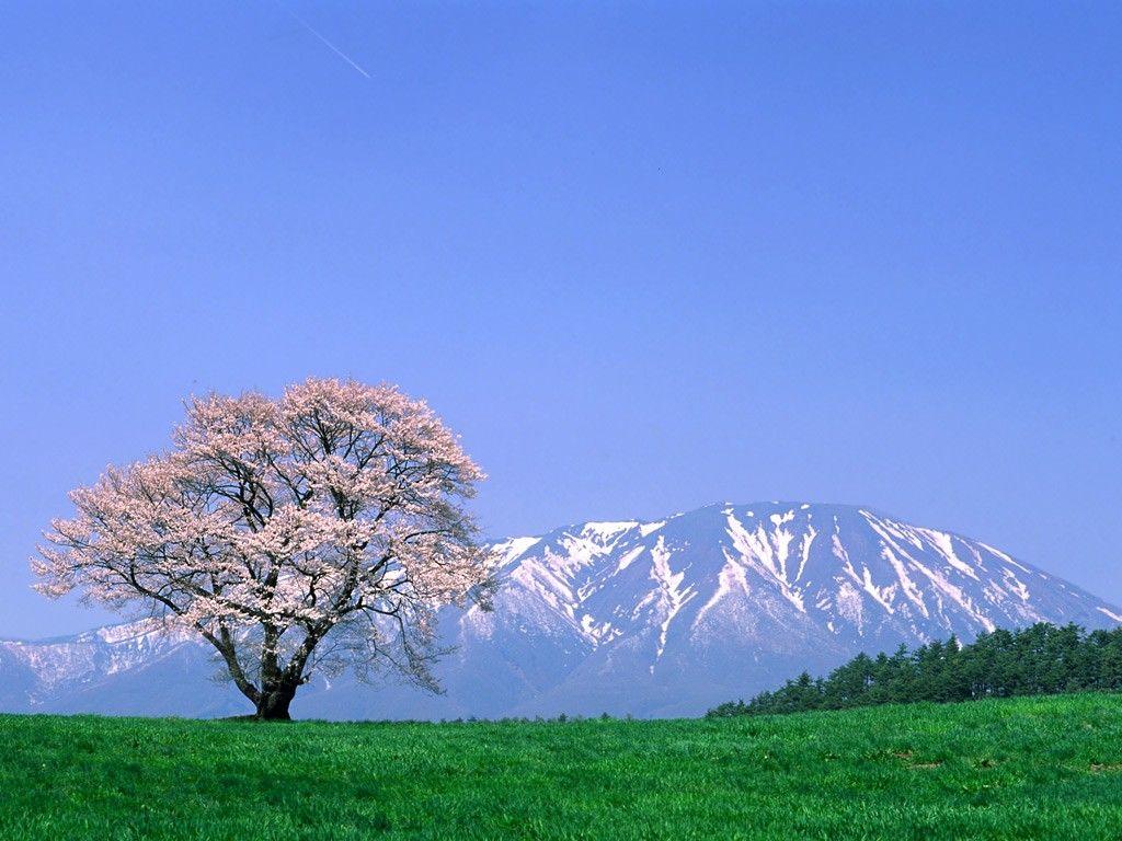 Japanese Farm Wallpapers - Top Free Japanese Farm Backgrounds ...
