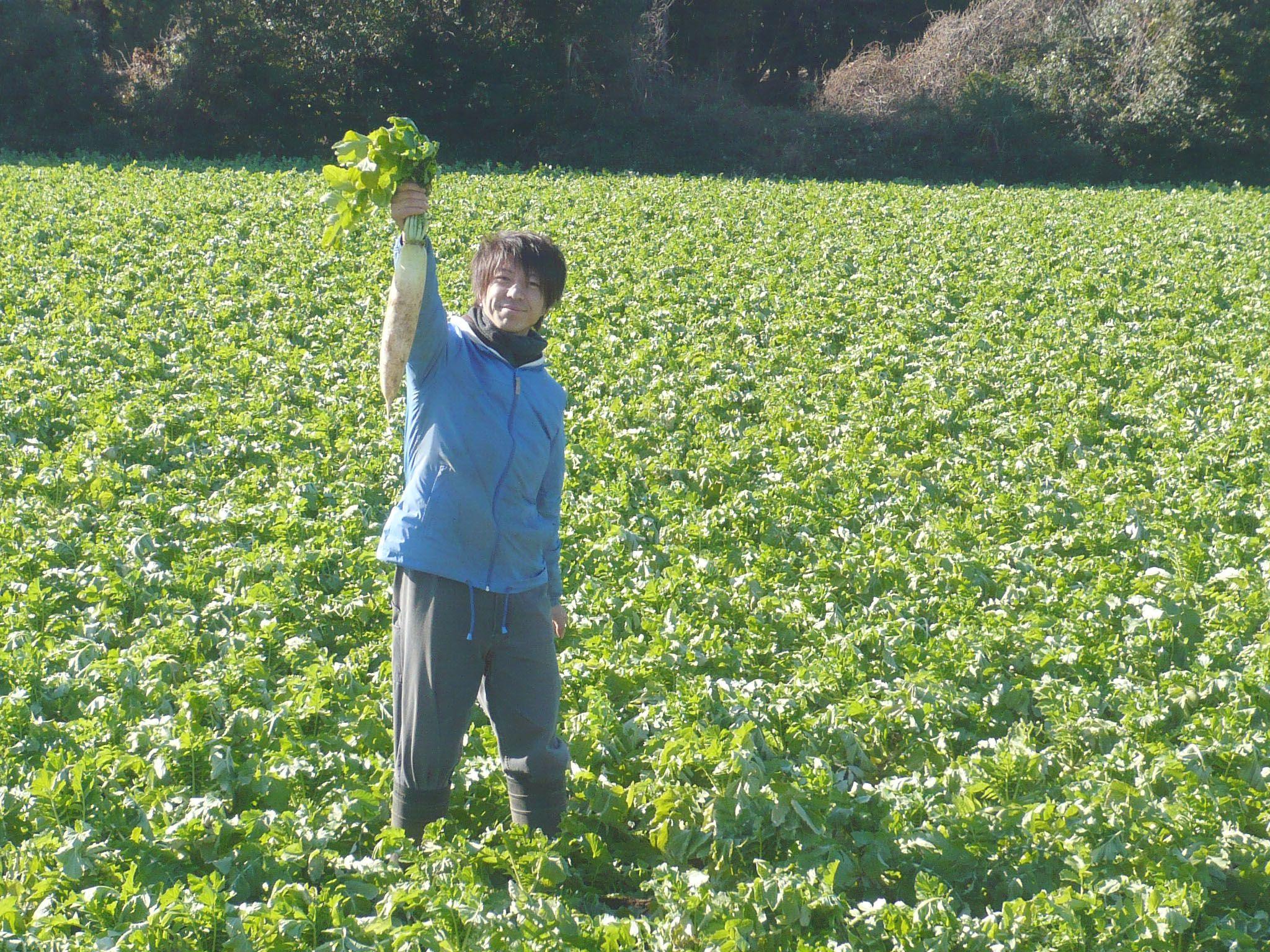 Japanese Farm Wallpapers - Top Free Japanese Farm Backgrounds ...