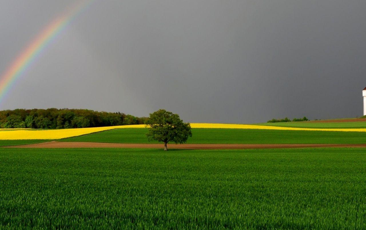 Green Field Wallpapers - Top Free Green Field Backgrounds - WallpaperAccess