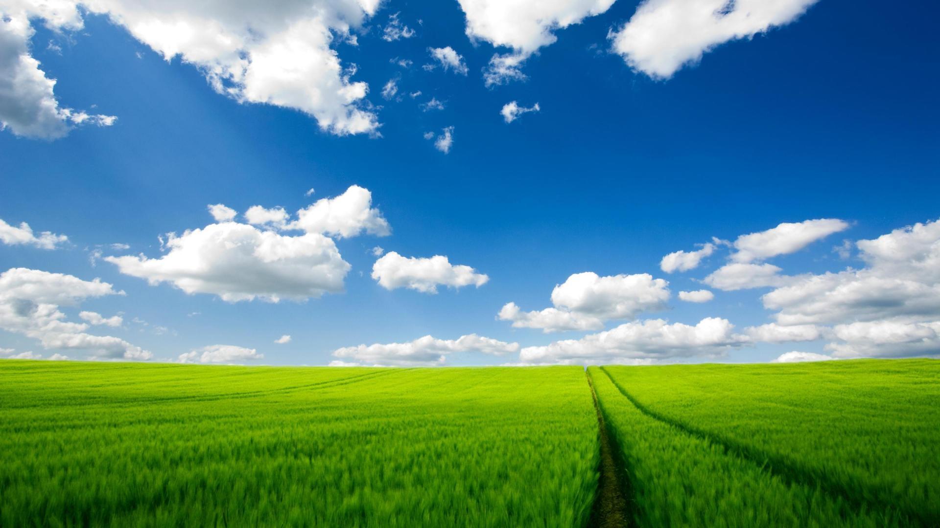 Green Field Wallpapers - Top Free Green Field Backgrounds - WallpaperAccess