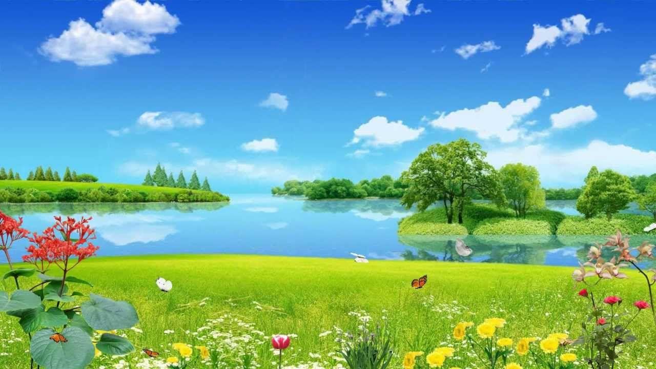 Green Field Wallpapers - Top Free Green Field Backgrounds - WallpaperAccess