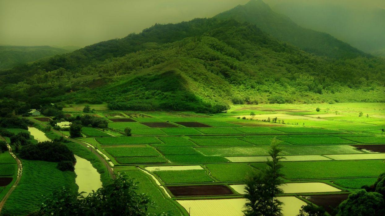 Green Field Wallpapers - Top Free Green Field Backgrounds - WallpaperAccess