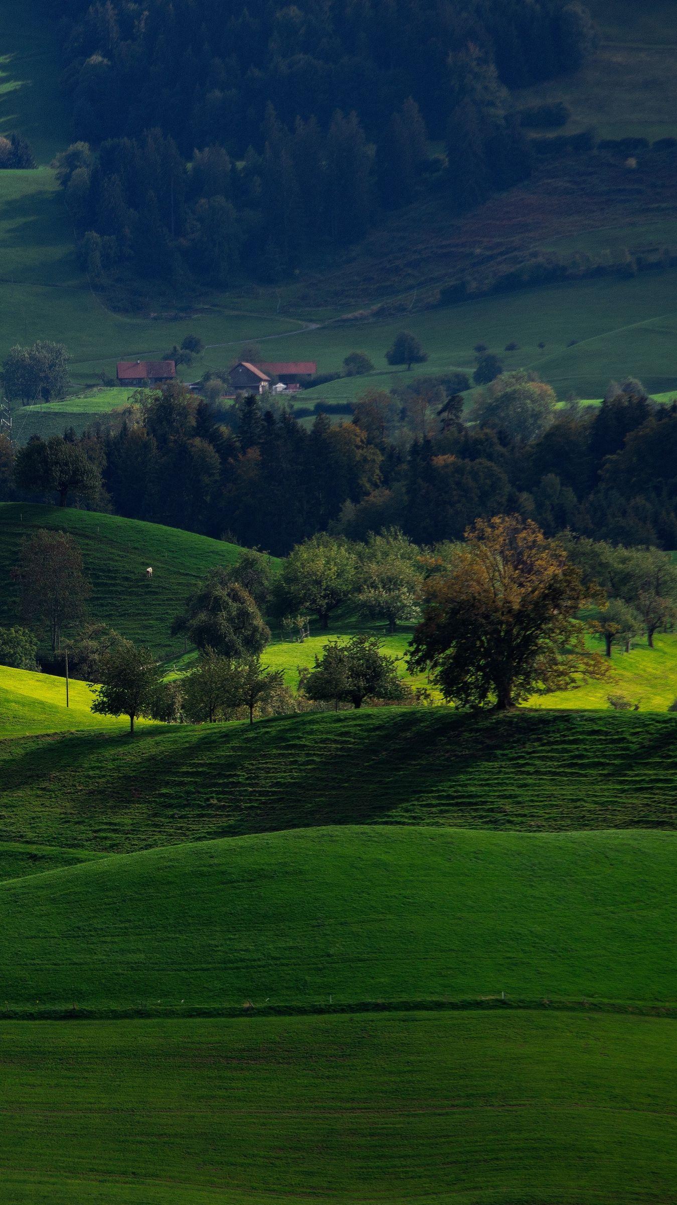 Green Field Wallpapers - Top Free Green Field Backgrounds - WallpaperAccess