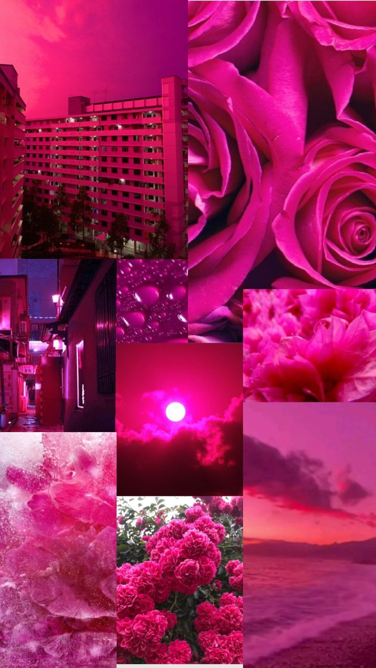 Fuchsia Pink Wallpapers - Top Free Fuchsia Pink Backgrounds ...